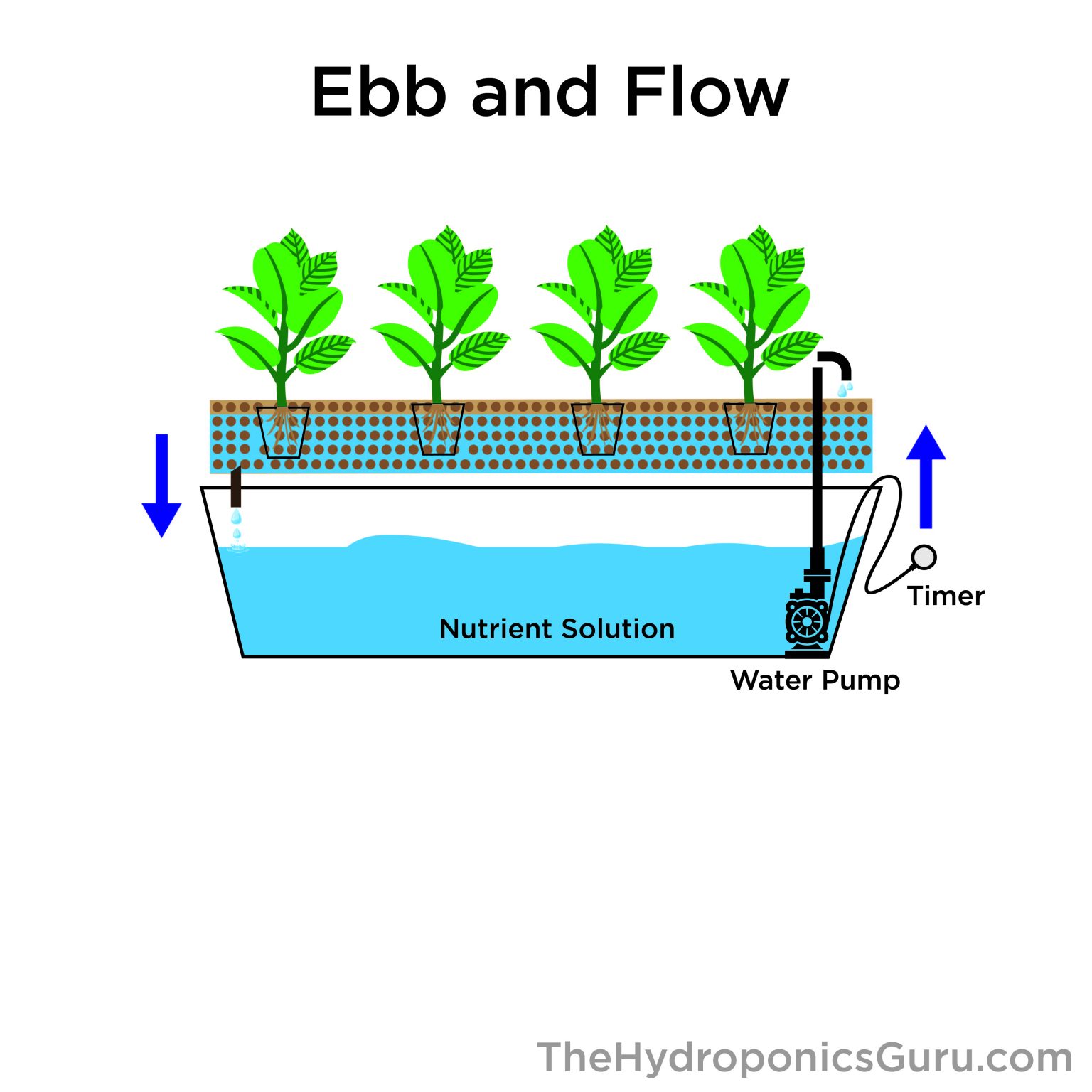 How The Ebb And Flow System Hydroponics System Works - The Hydroponics Guru