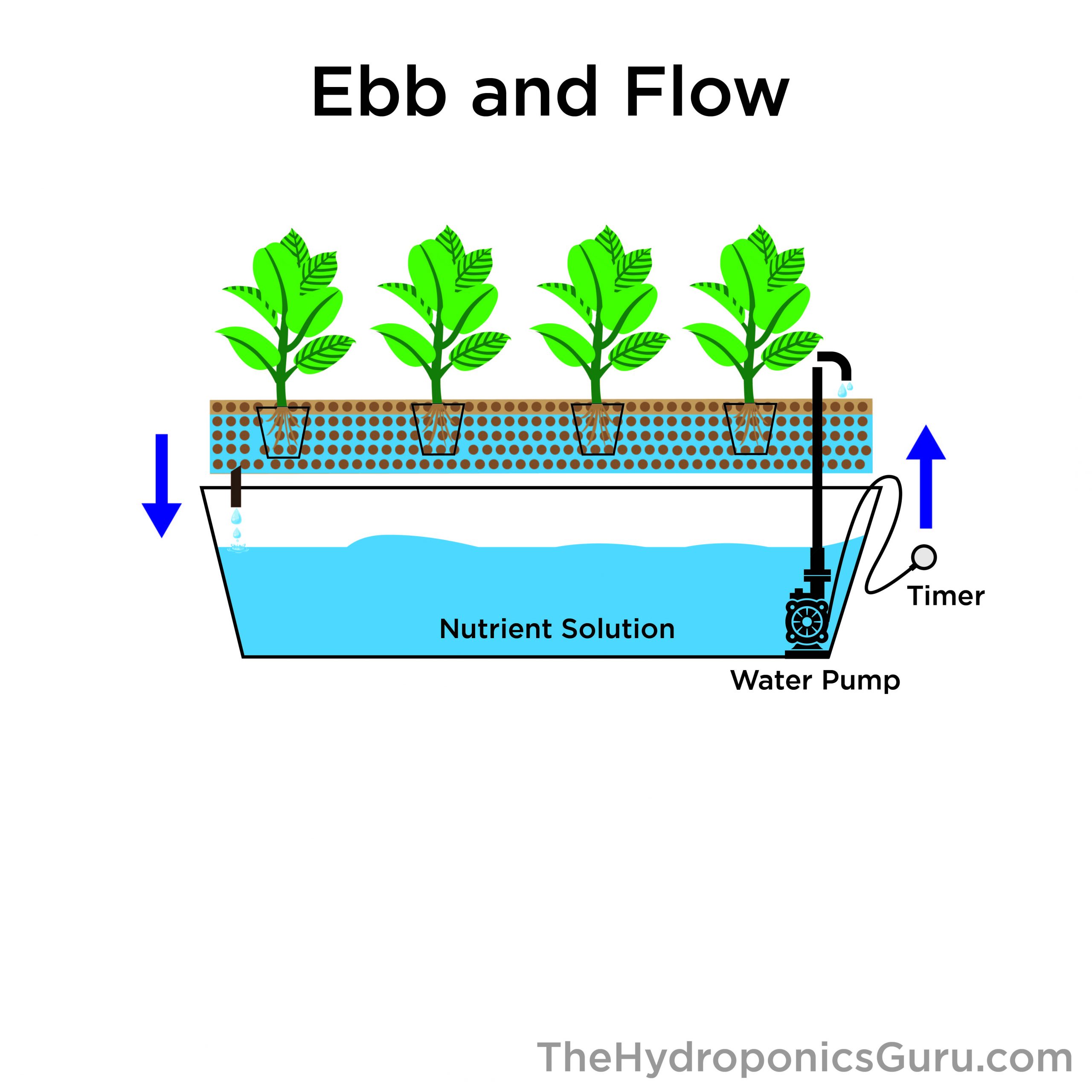 What Is Ebb And Flow Hydroponics Nosoilsolutions