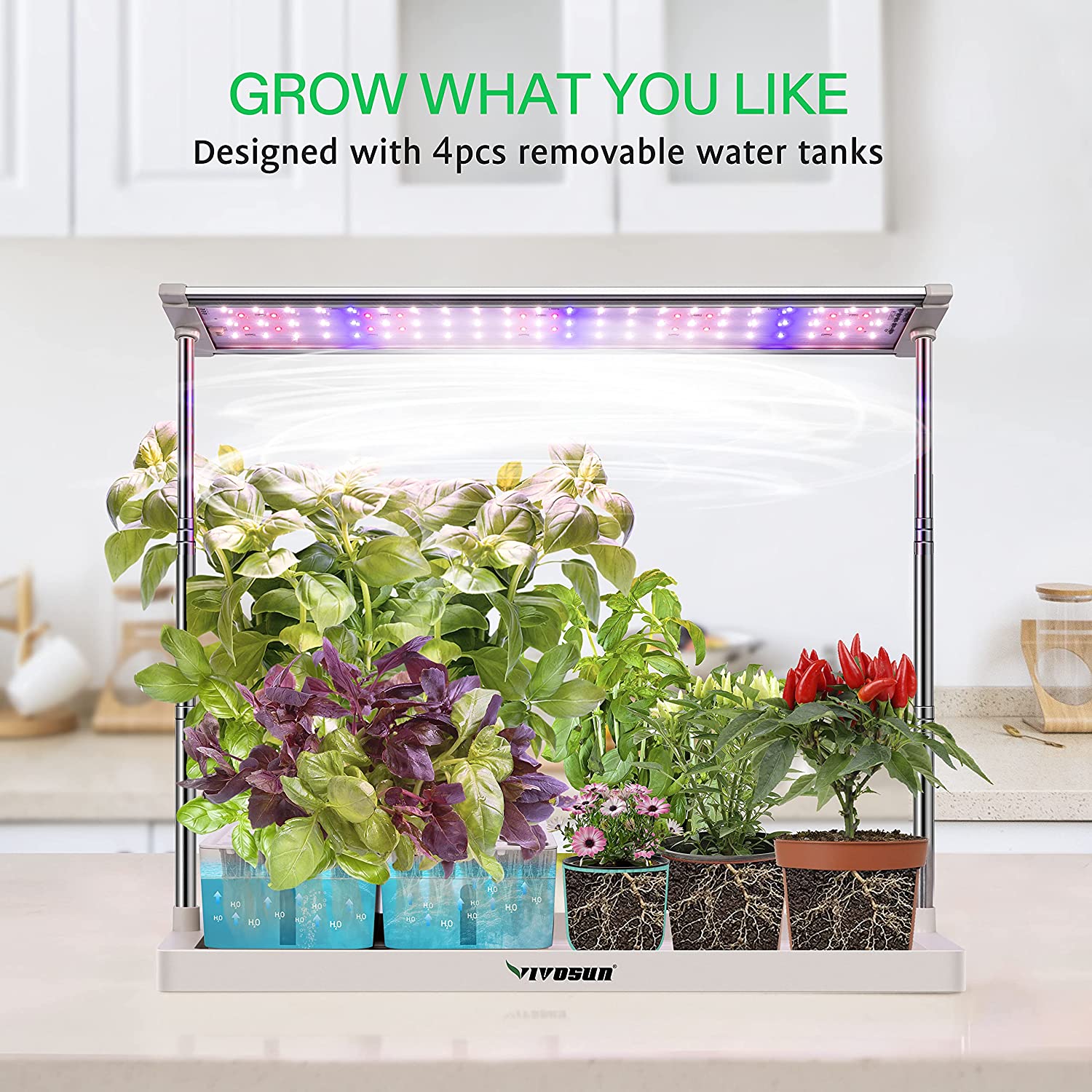 VIVOSUN Indoor Herb Garden Hydroponic Growing System Review - The ...