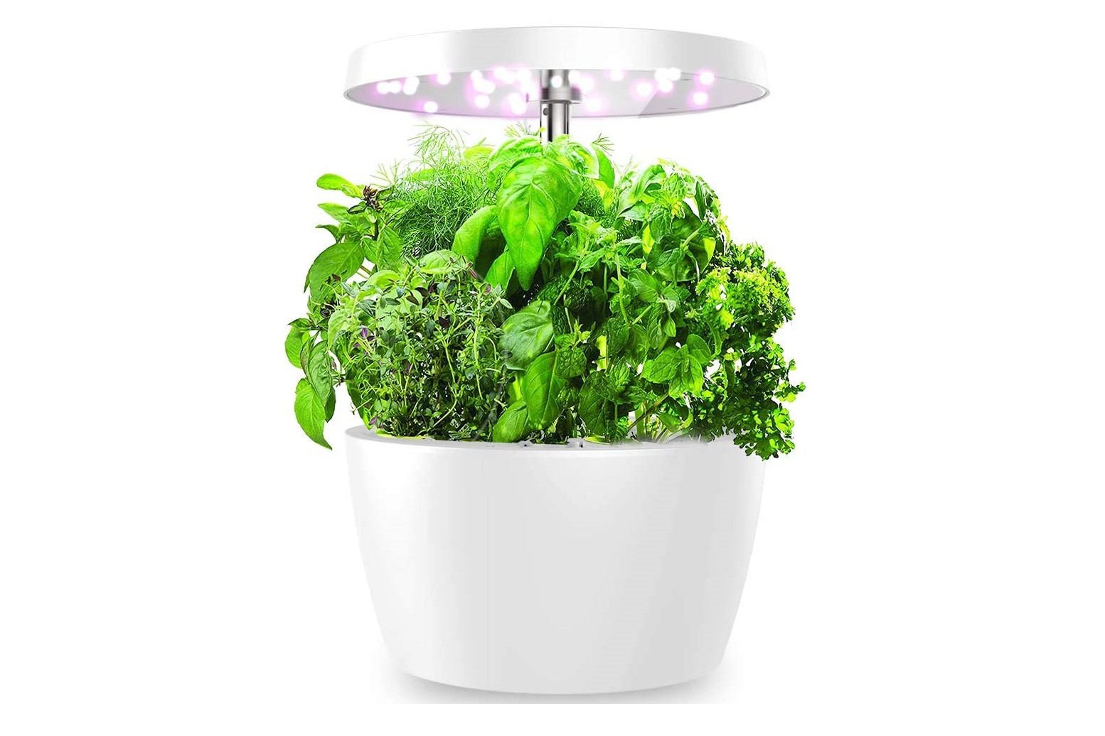 Ecoogrower Hydroponics Growing System Review - The Hydroponics Guru