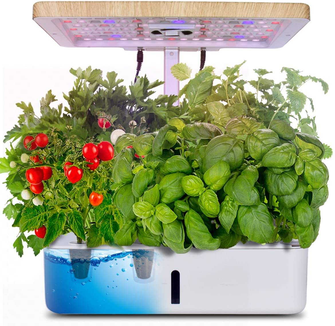 Hydroponics Systems - The Hydroponics Guru