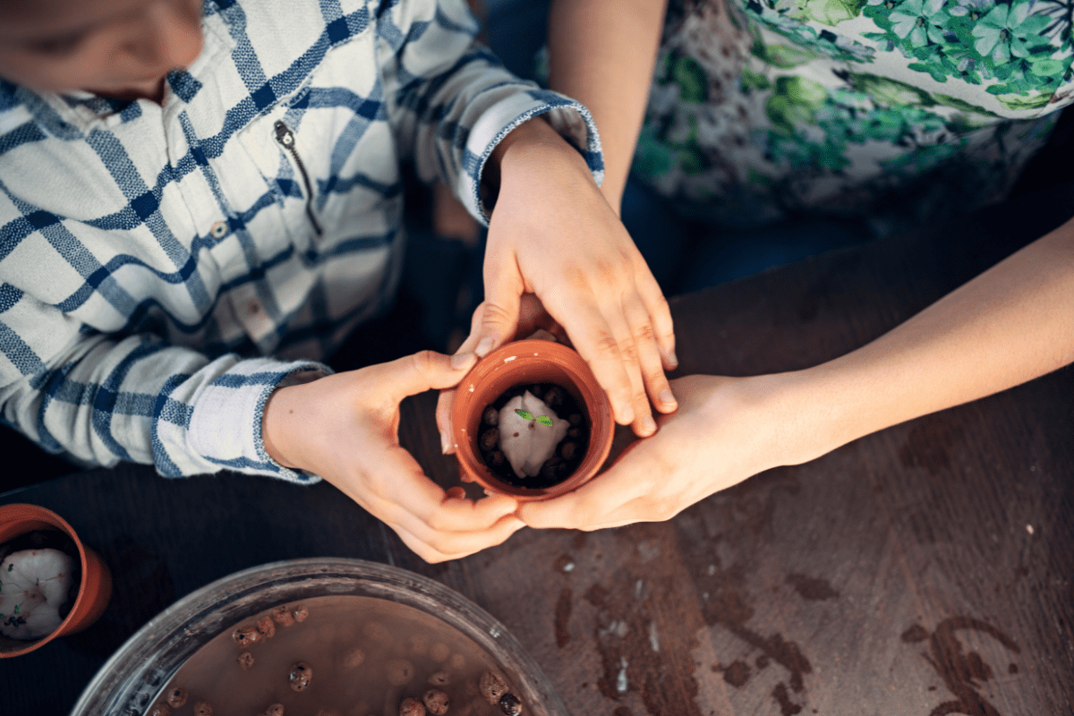 Your Guide to Hydroponics for Kids - The Hydroponics Guru